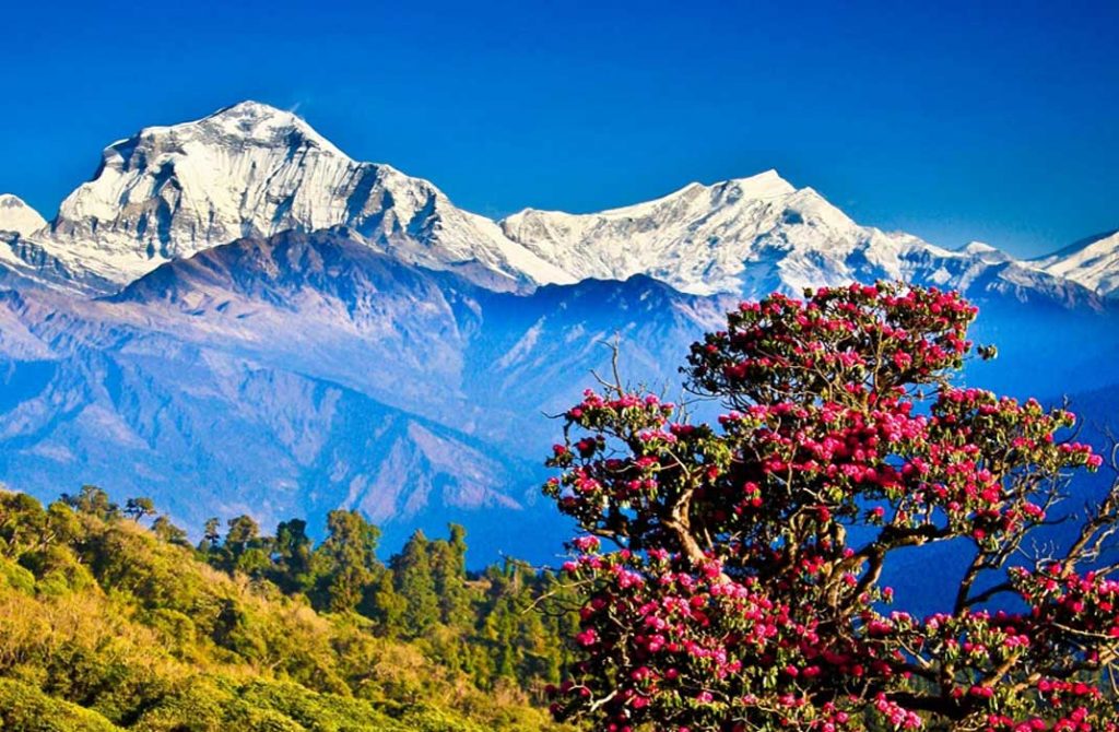 Top Things to Do and Explore in Himalayan Kingdom-Bhutan